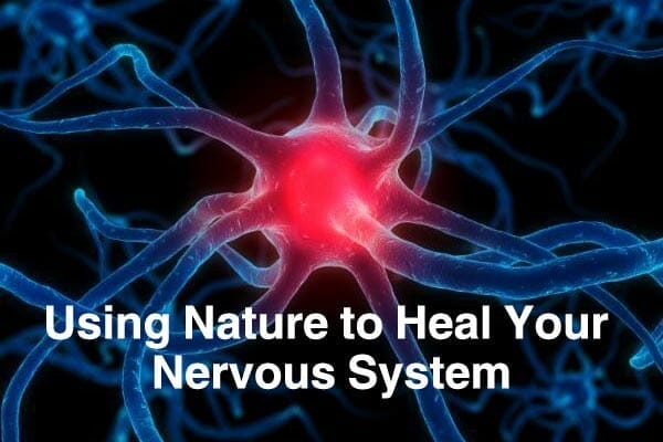 Using Nature to Heal Your Nervous System - RespectCareGivers
