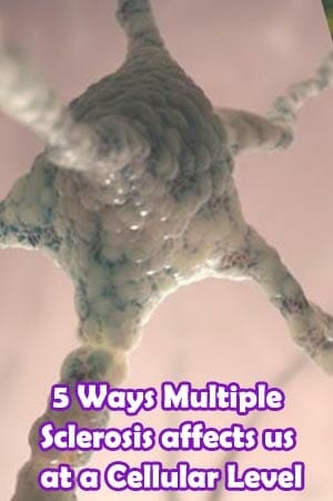 5 Ways Multiple Sclerosis affects us at a Cellular Level ...