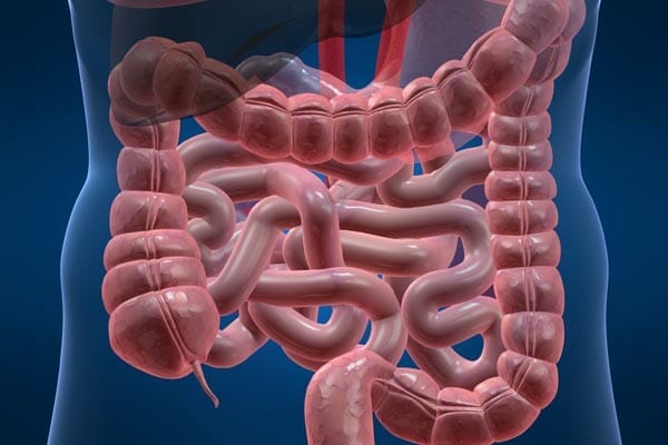 Does Sciatica Affect Bowel Movements RespectCareGivers does-sciatica-affect-bowel-movements-respectcaregivers