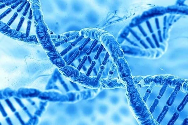 is multiple sclerosis hereditary - RespectCareGivers