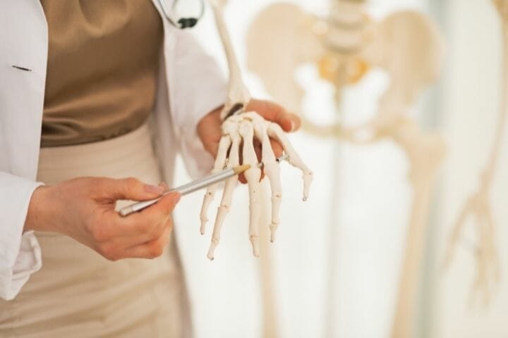 A Guide to Bone Health for Seniors and Caregivers - RespectCareGivers