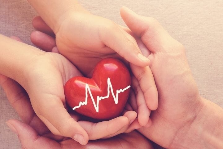 Organ Donation Guide - Give Someone The Ultimate Gift - RespectCareGivers